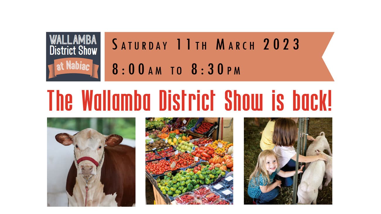 Nabiac, NSW 2312 - Nabiac.com